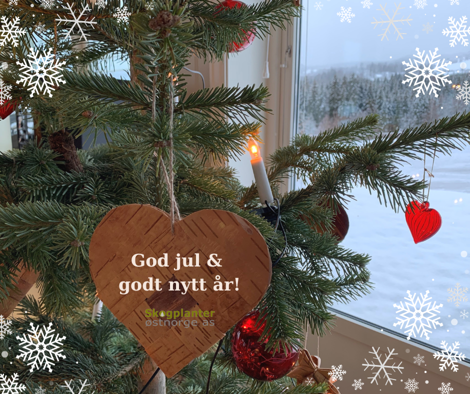 Julehilsen fra oss på Biri - Skogplanter Østnorge